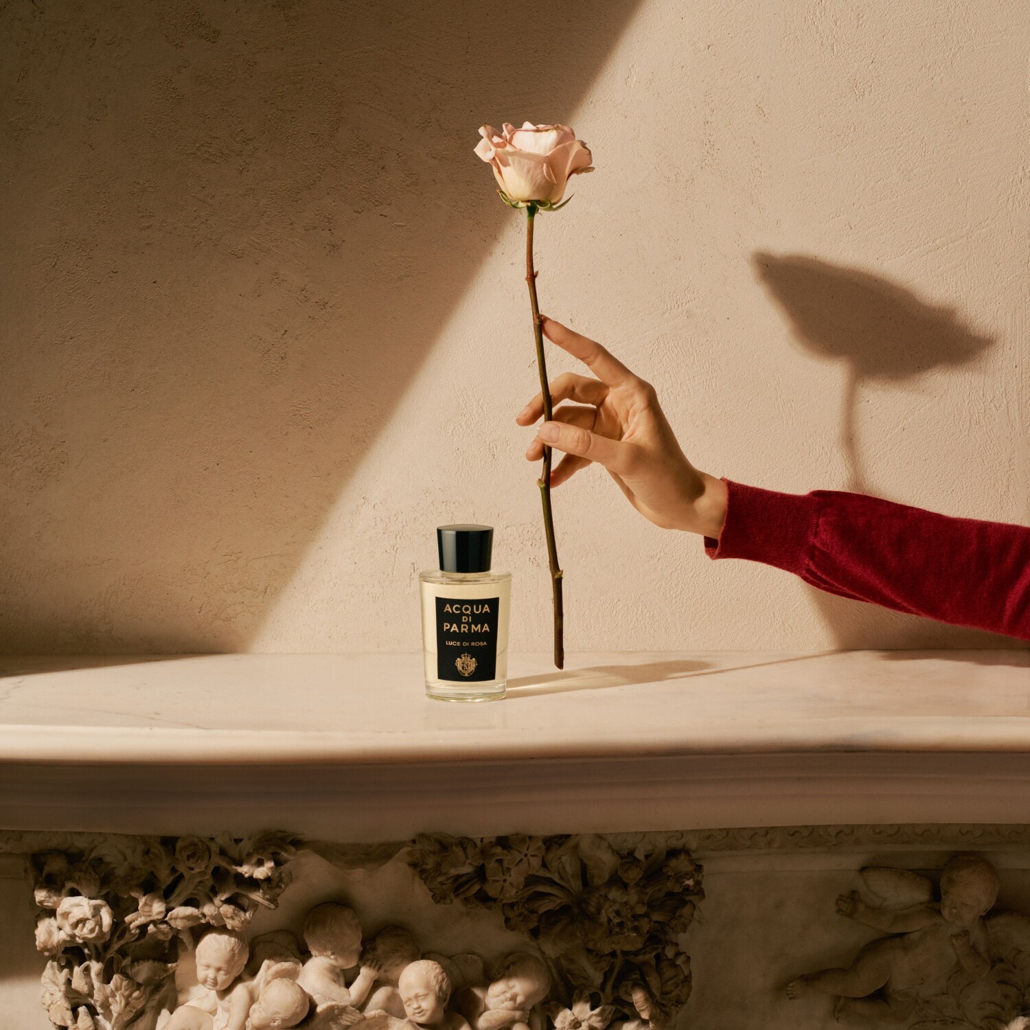 LUCE DI ROSA di ACQUA DI PARMA ≡ SEPHORA
