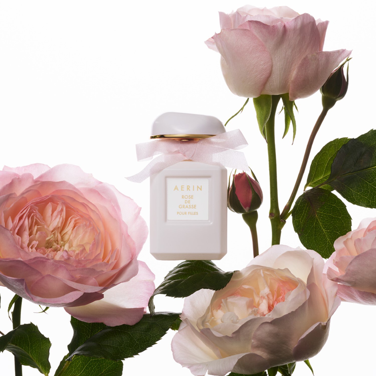 null z AERIN BEAUTY ≡ SEPHORA