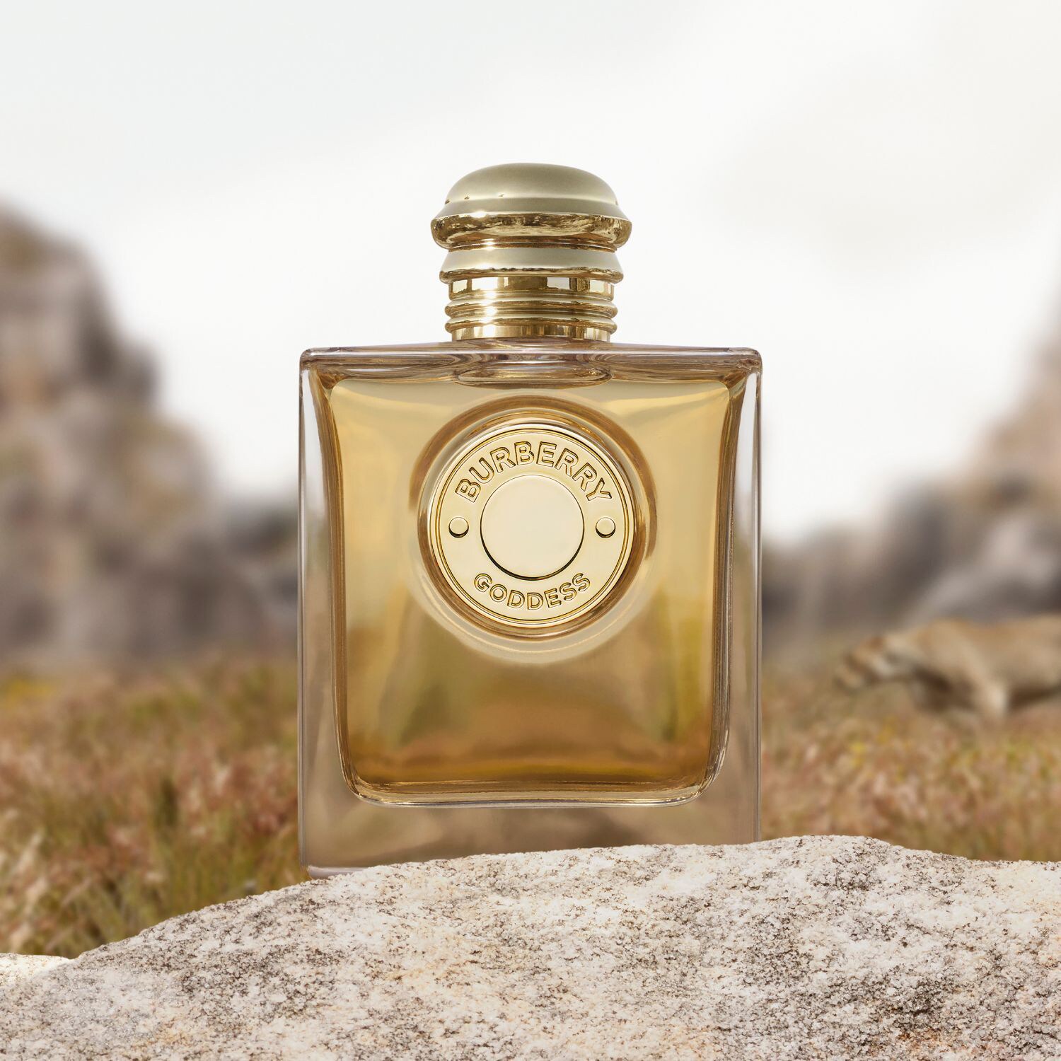 Burberry Goddess - Eau de Parfum Intense von BURBERRY ≡ SEPHORA