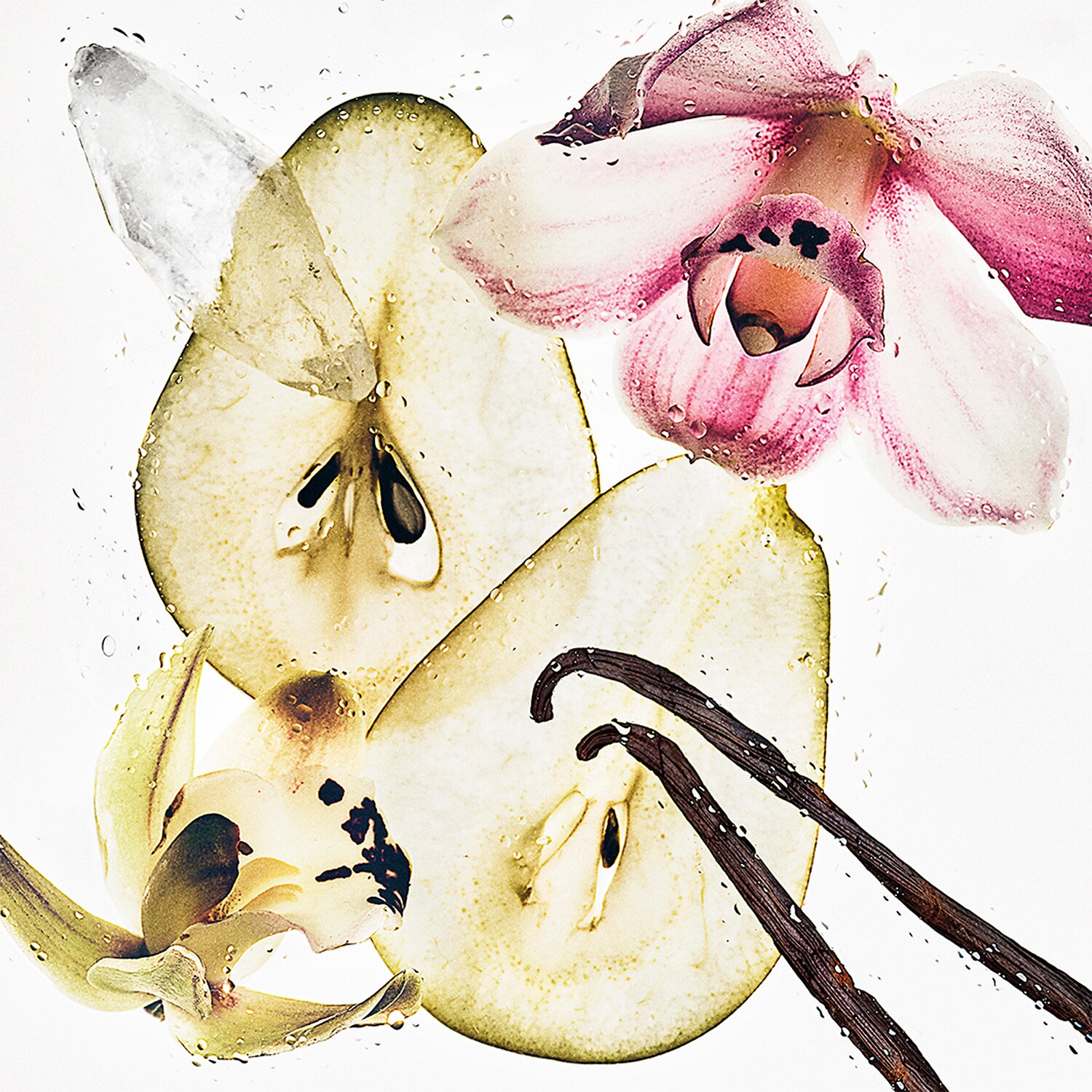 CK Nude Vanilla - Unisex Hair & Body Perfume Mist di CALVIN KLEIN ≡ SEPHORA