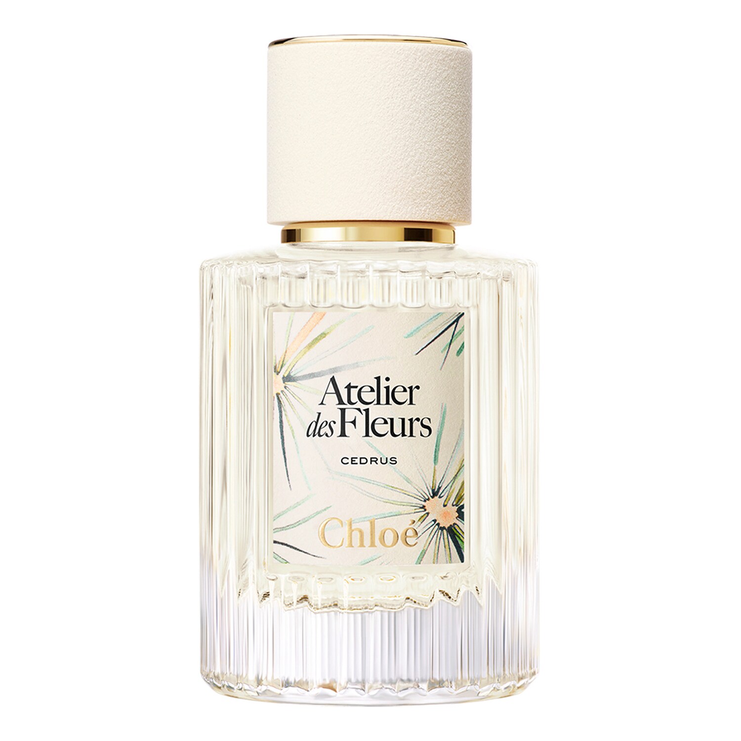 Atelier des Fleurs Cedrus - Eau de Parfum Edition Limitée de CHLOÉ ≡ SEPHORA