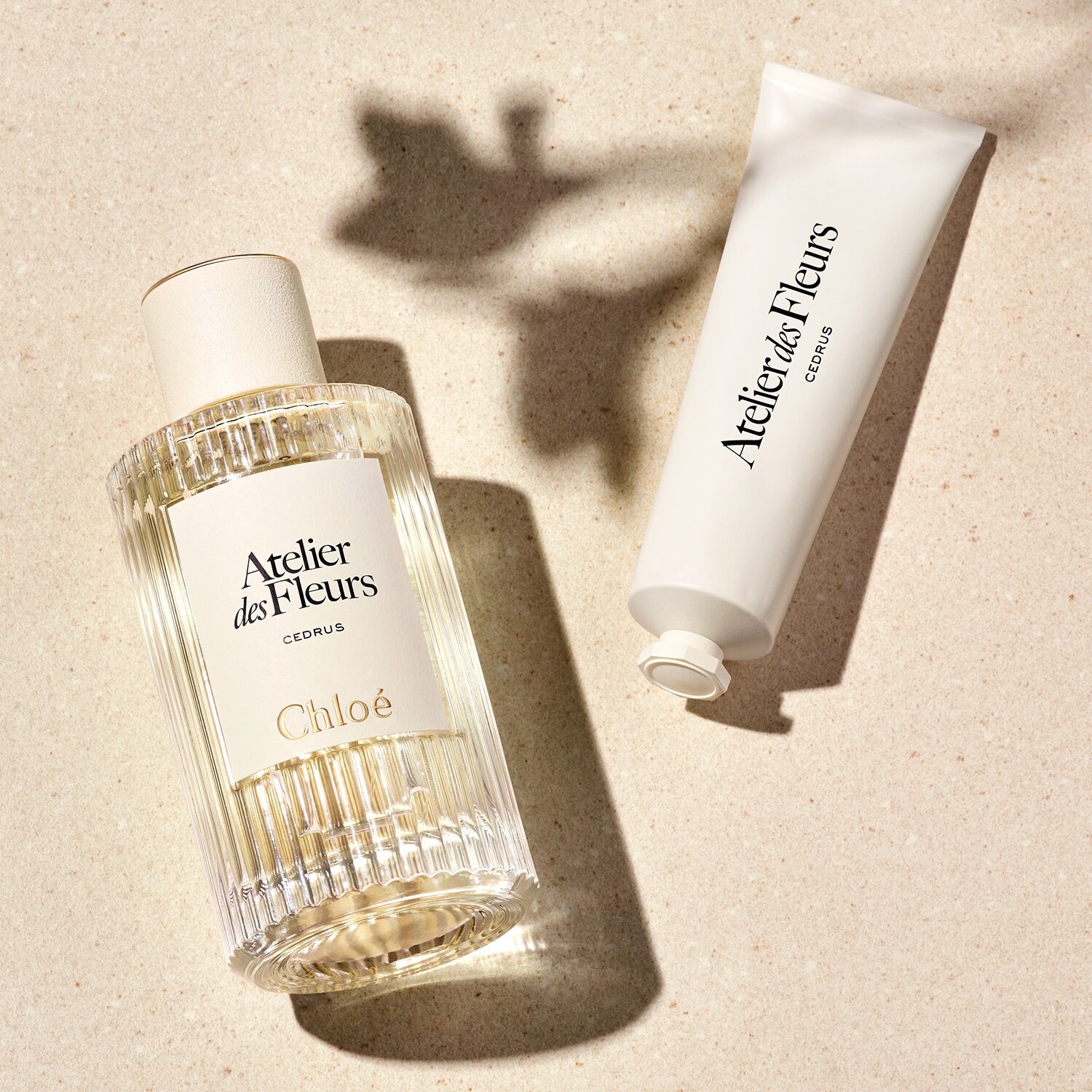 Atelier des Fleurs - Cedrus Crème pour les mains de CHLOÉ ≡ SEPHORA