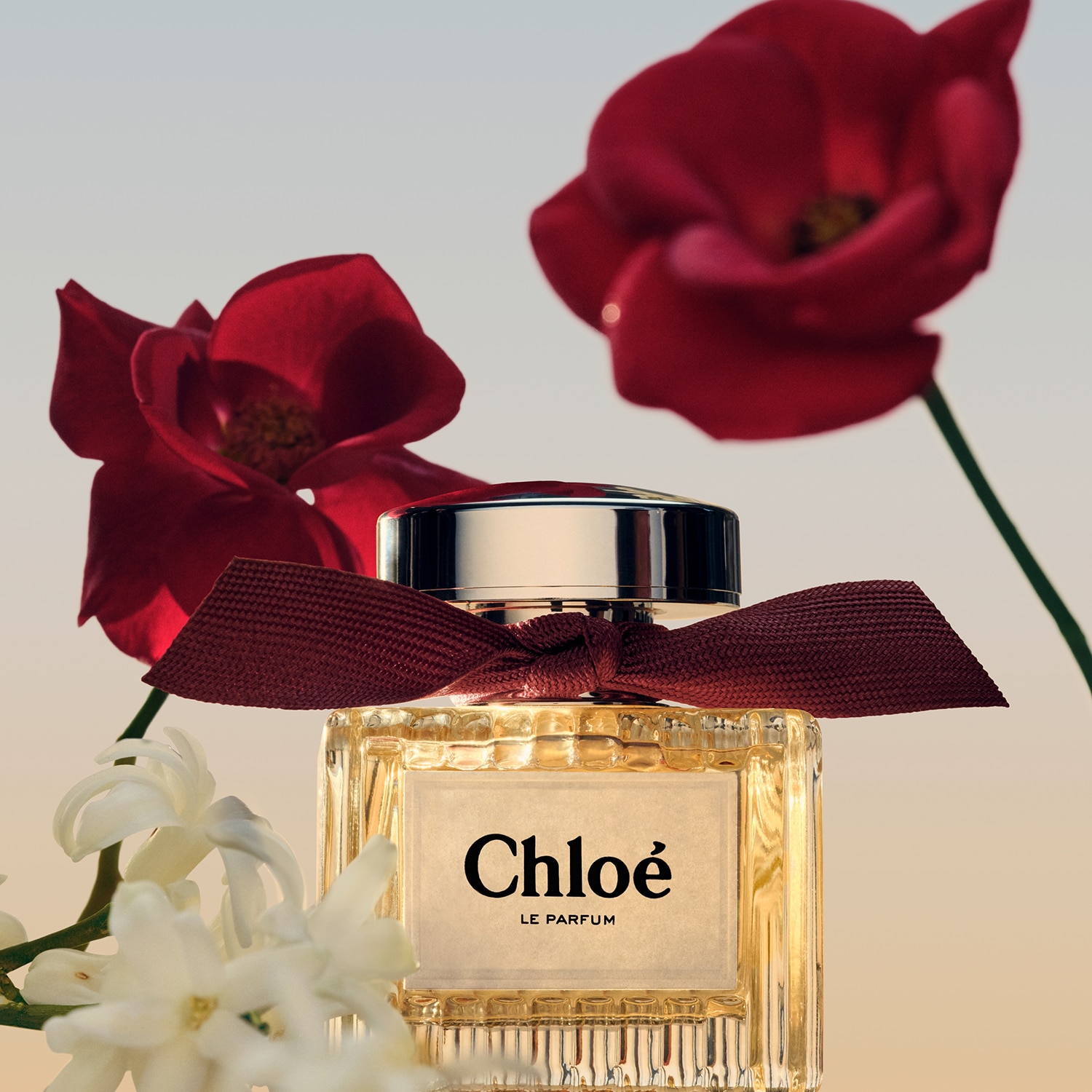 Chloé Le Parfum for Women - Parfum Chloe ≡ SEPHORA