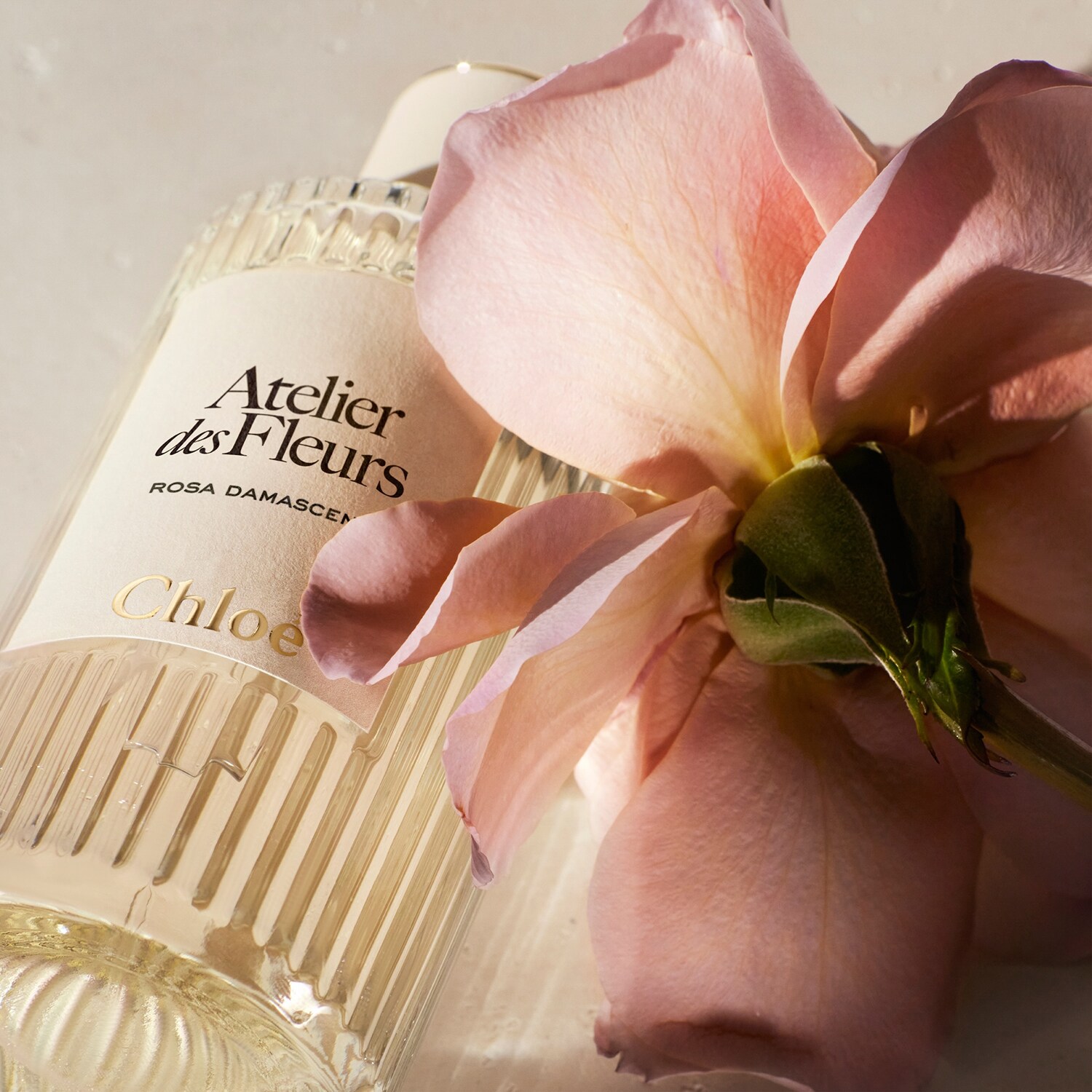 Chloé - Atelier Des Fleurs Rosa Damascena - Eau De Parfum
