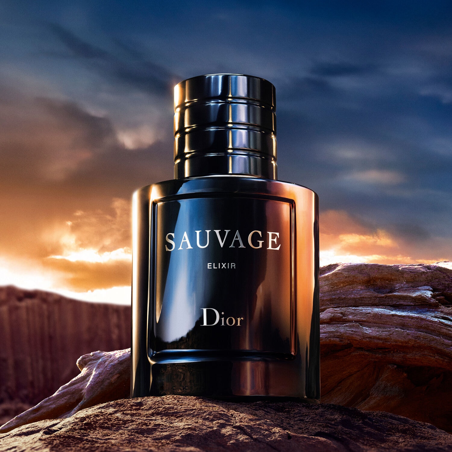 Sauvage Elixir - Parfum pour homme de DIOR ≡ SEPHORA