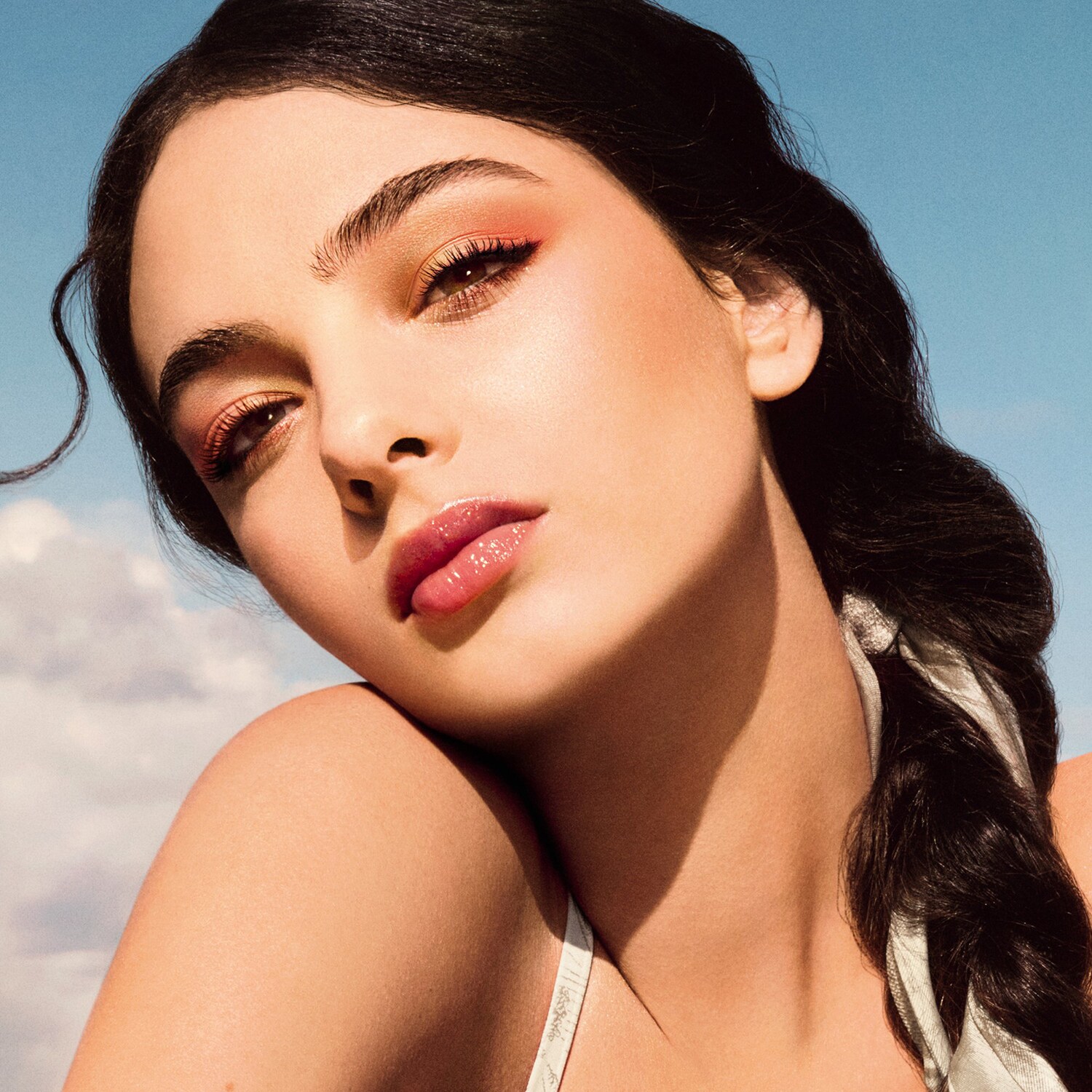 Diorshow 5 Couleurs édition limitée - fards à paupières haute couleur ...