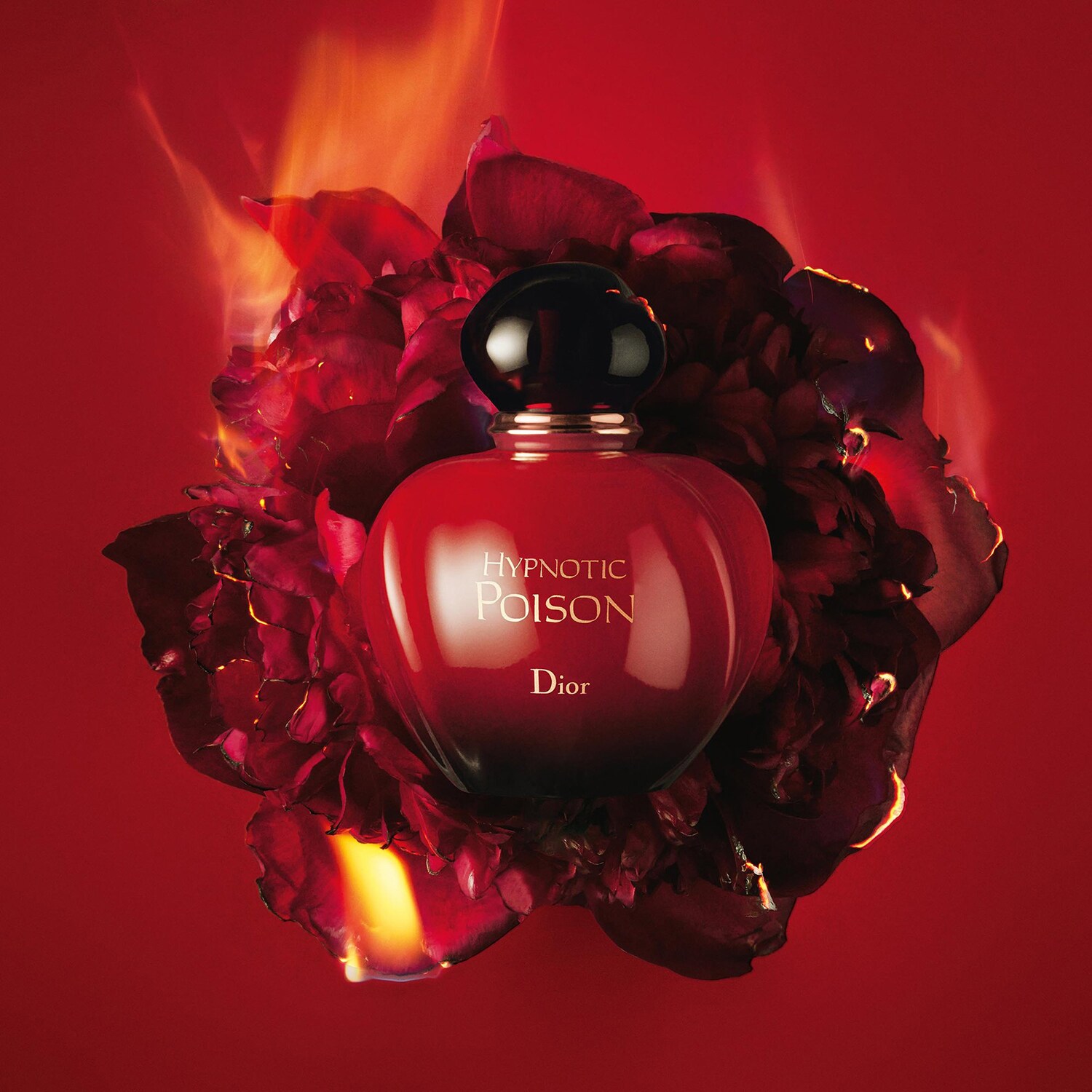 null DIOR ≡ SEPHORA