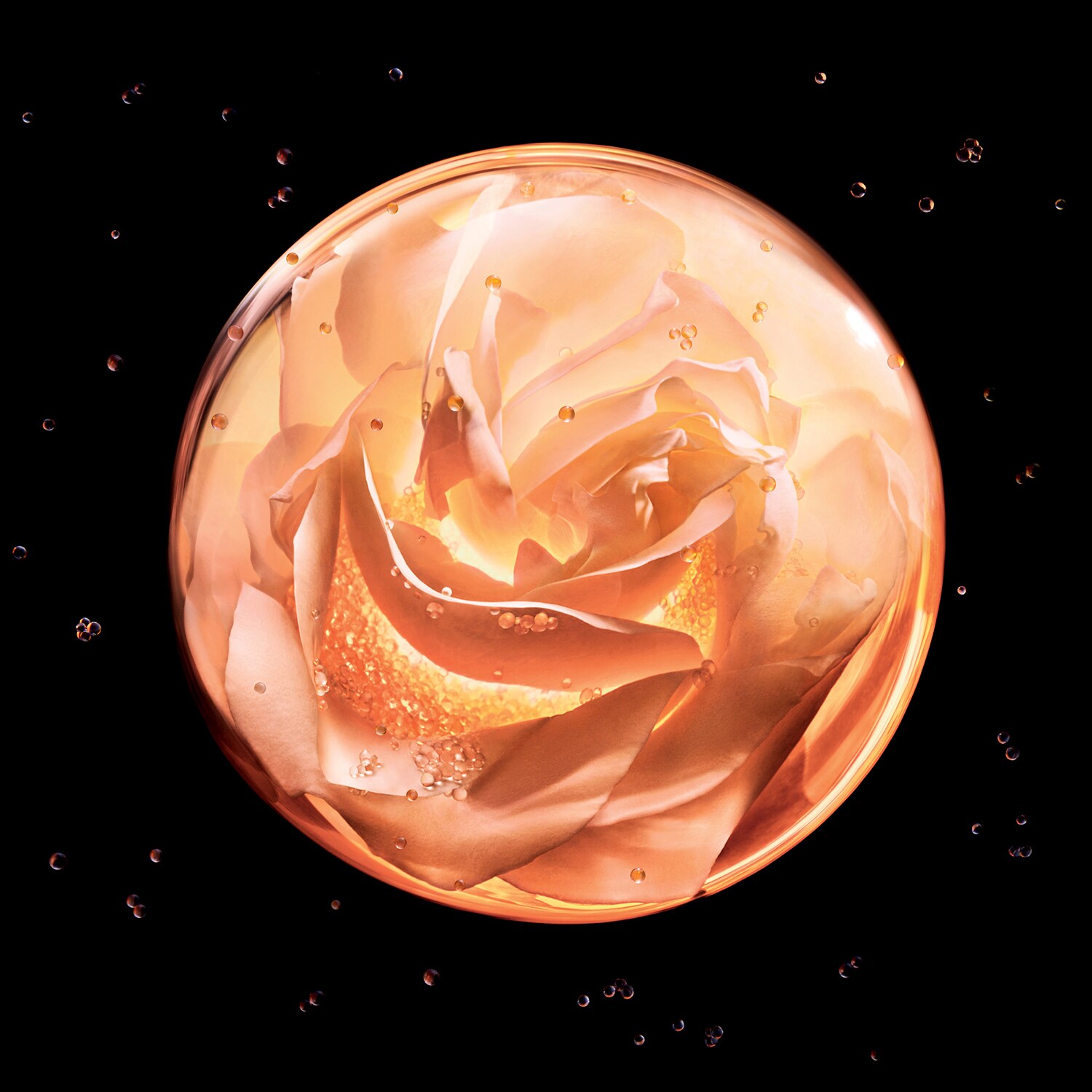 Dior Prestige La Crème Texture Essentielle - Crema antietà riparatrice ...