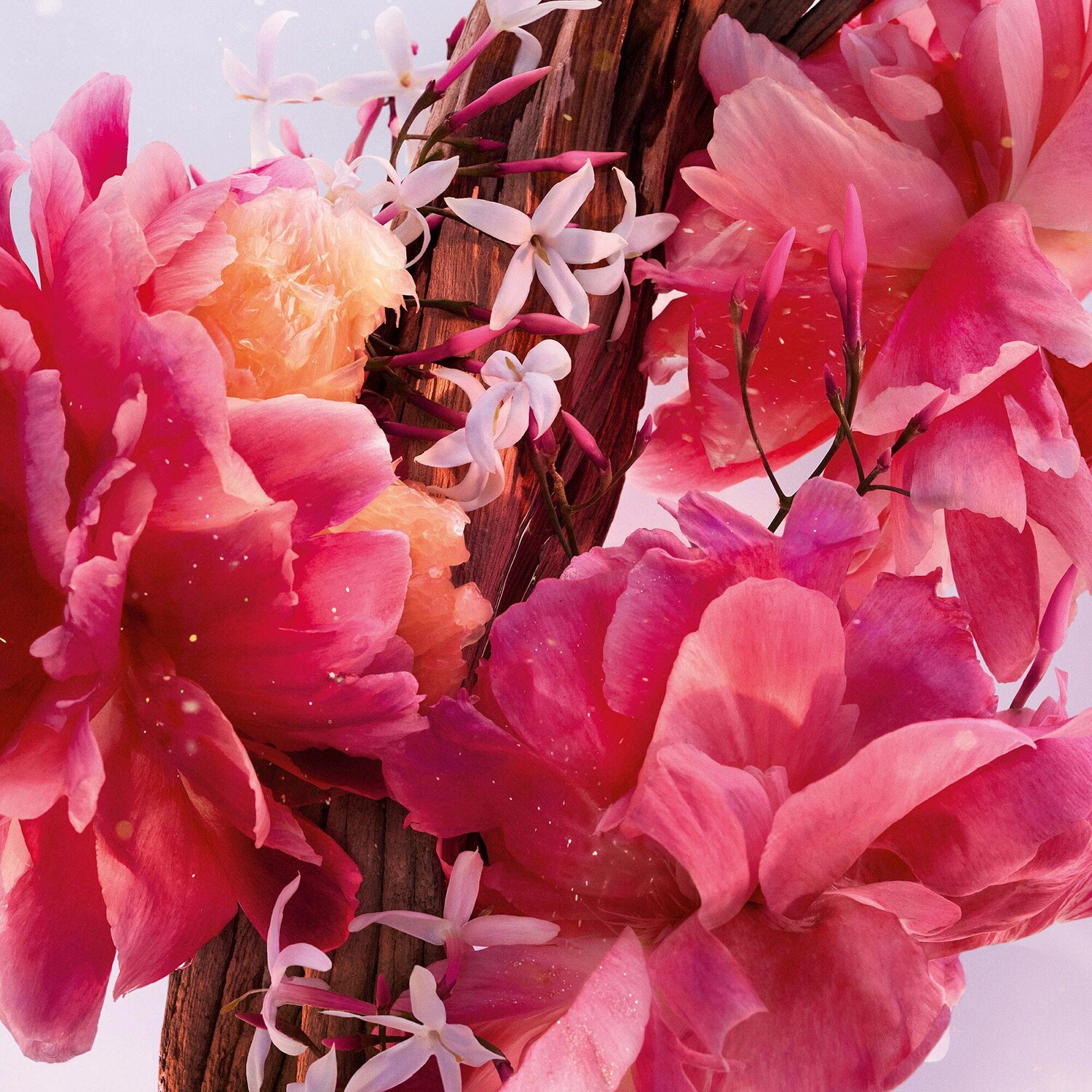 Dior - Miss Dior Parfum Roller-pearl - Blommig, Fruktig & Träig Doft