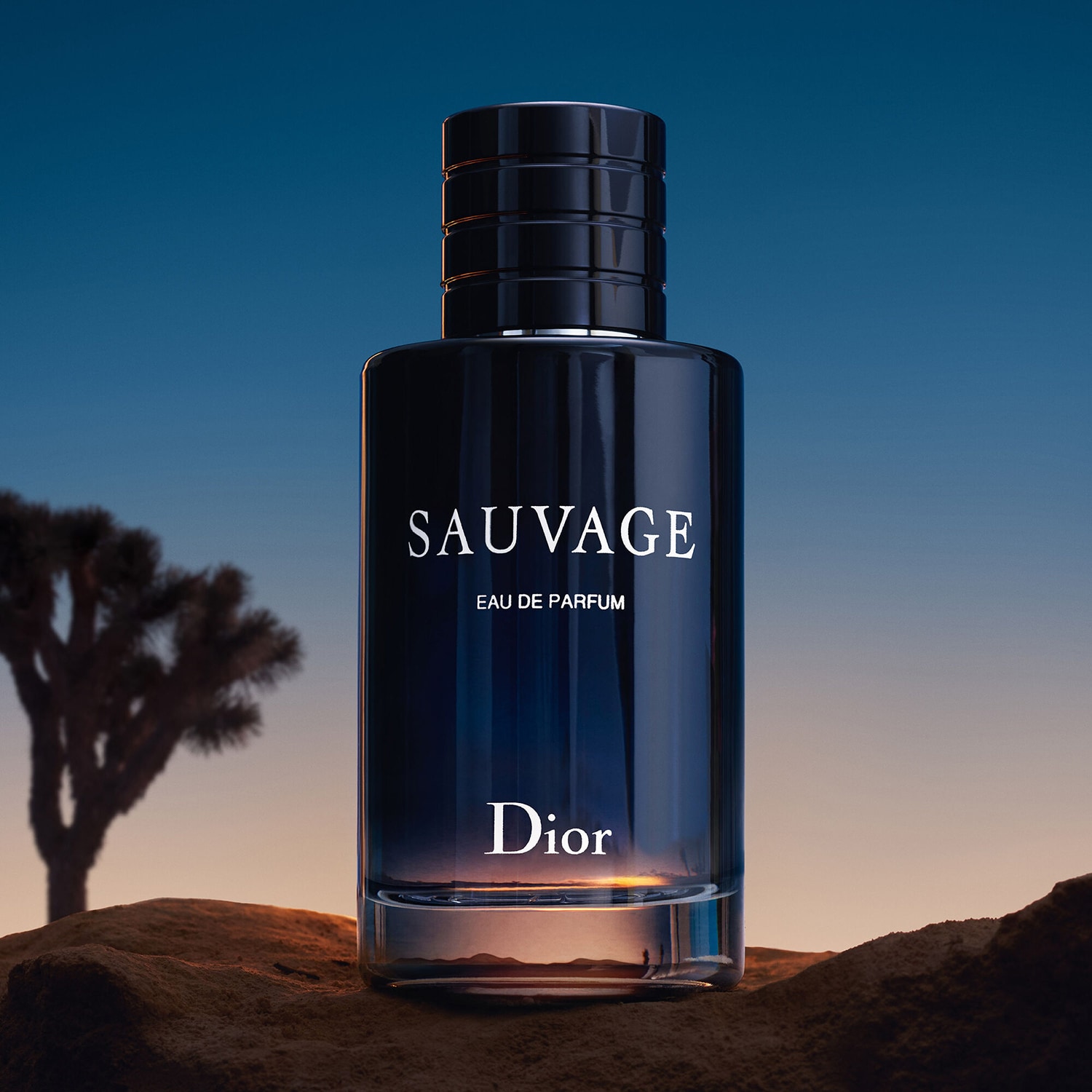 Sauvage - Eau de parfum pour homme - Notes épicées & d'absolu vanille ...