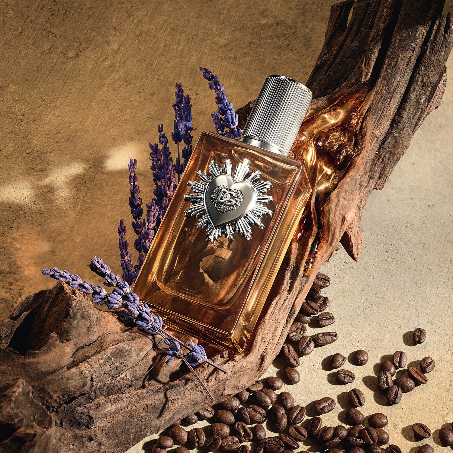 Devotion - Parfum Dolce&Gabbana ≡ SEPHORA