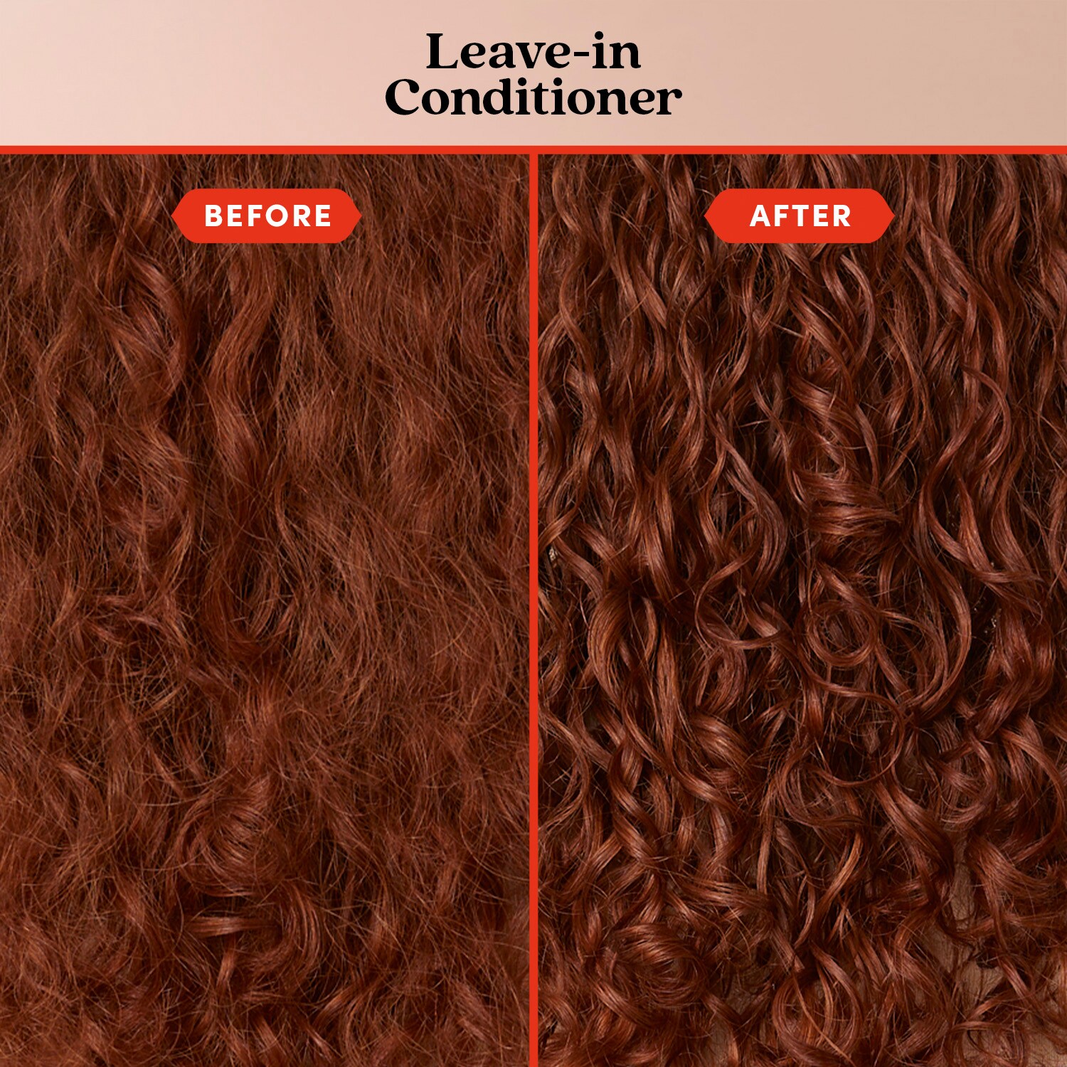 Wild About Hydration - Coffret de hidratação, cabelos médios a espessos ...