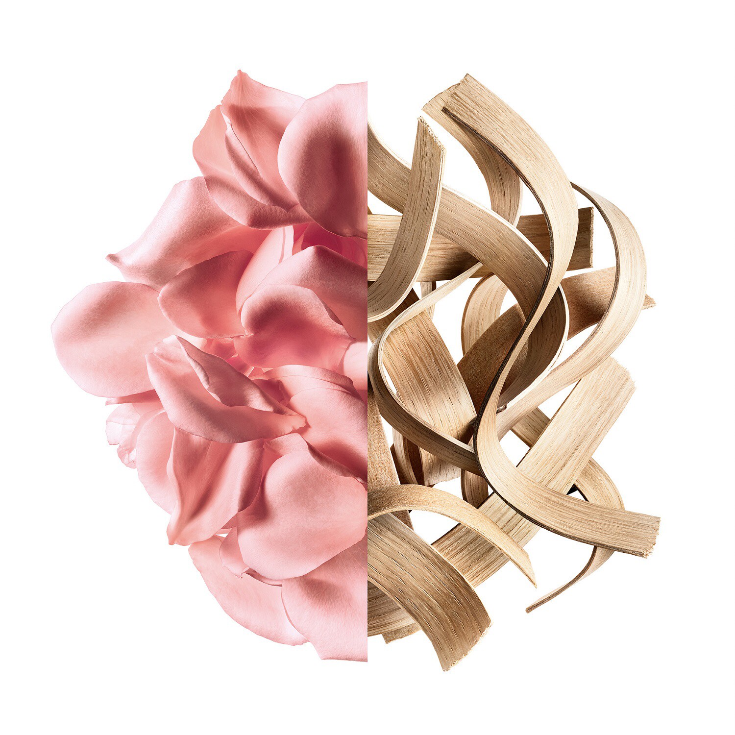 GIVENCHY IRRESISTIBLE Rose Velvet - Eau de Parfum ≡ SEPHORA
