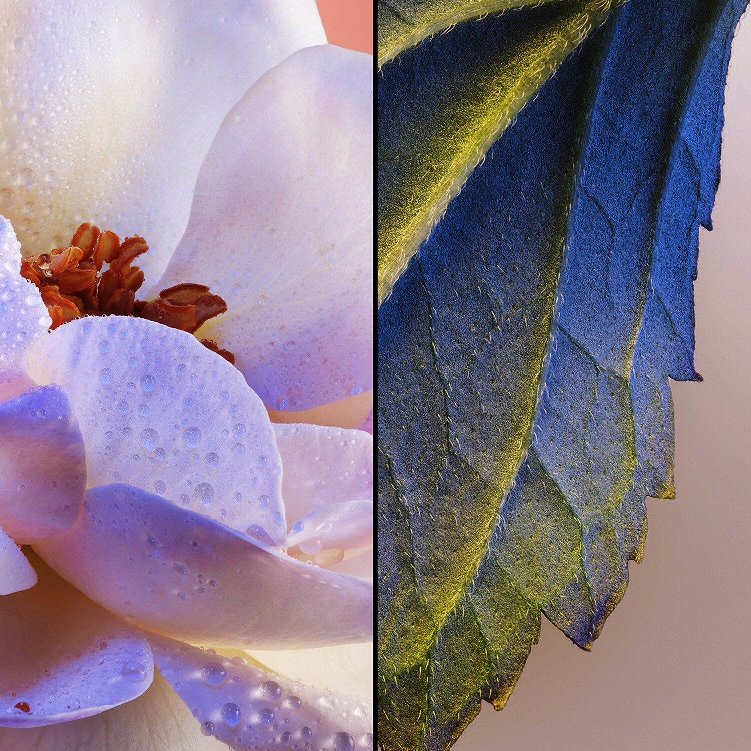 Idylle - Eau de Parfum de GUERLAIN ≡ SEPHORA