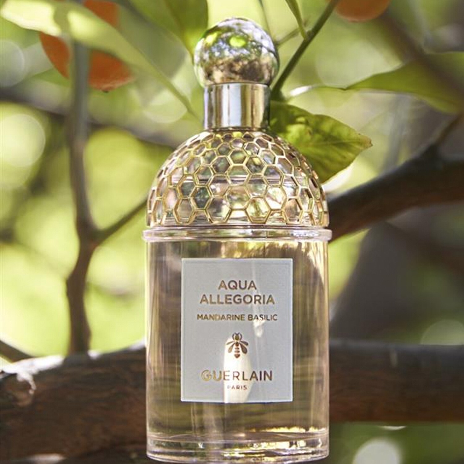 Aqua Allegoria Mandarine Basilic - Eau de Toilette di GUERLAIN ≡ SEPHORA