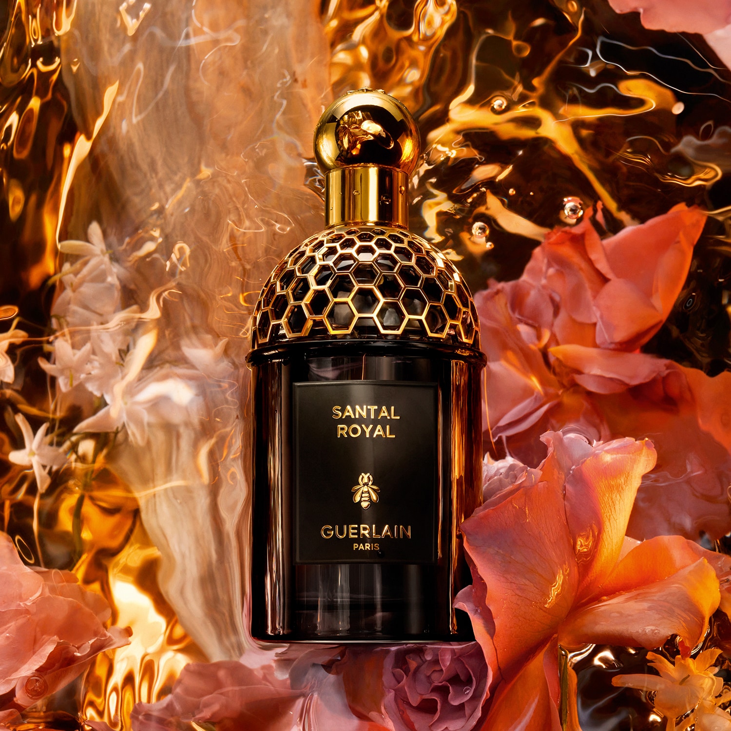 Absolus Allegoria - Santal Royal - Eau de Parfum de GUERLAIN ≡ SEPHORA