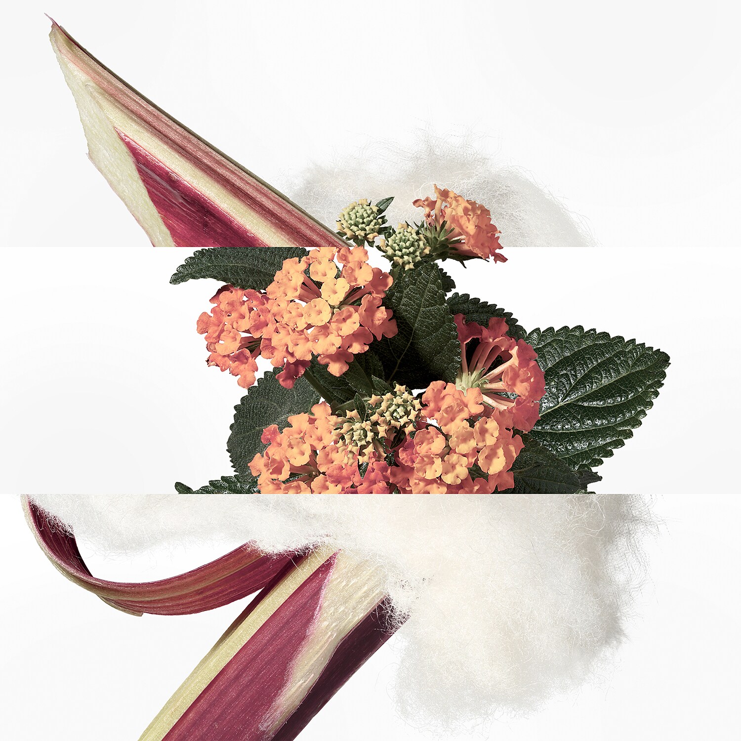 Eau de rhubarbe écarlate - Eau de cologne di HERMÈS ≡ SEPHORA