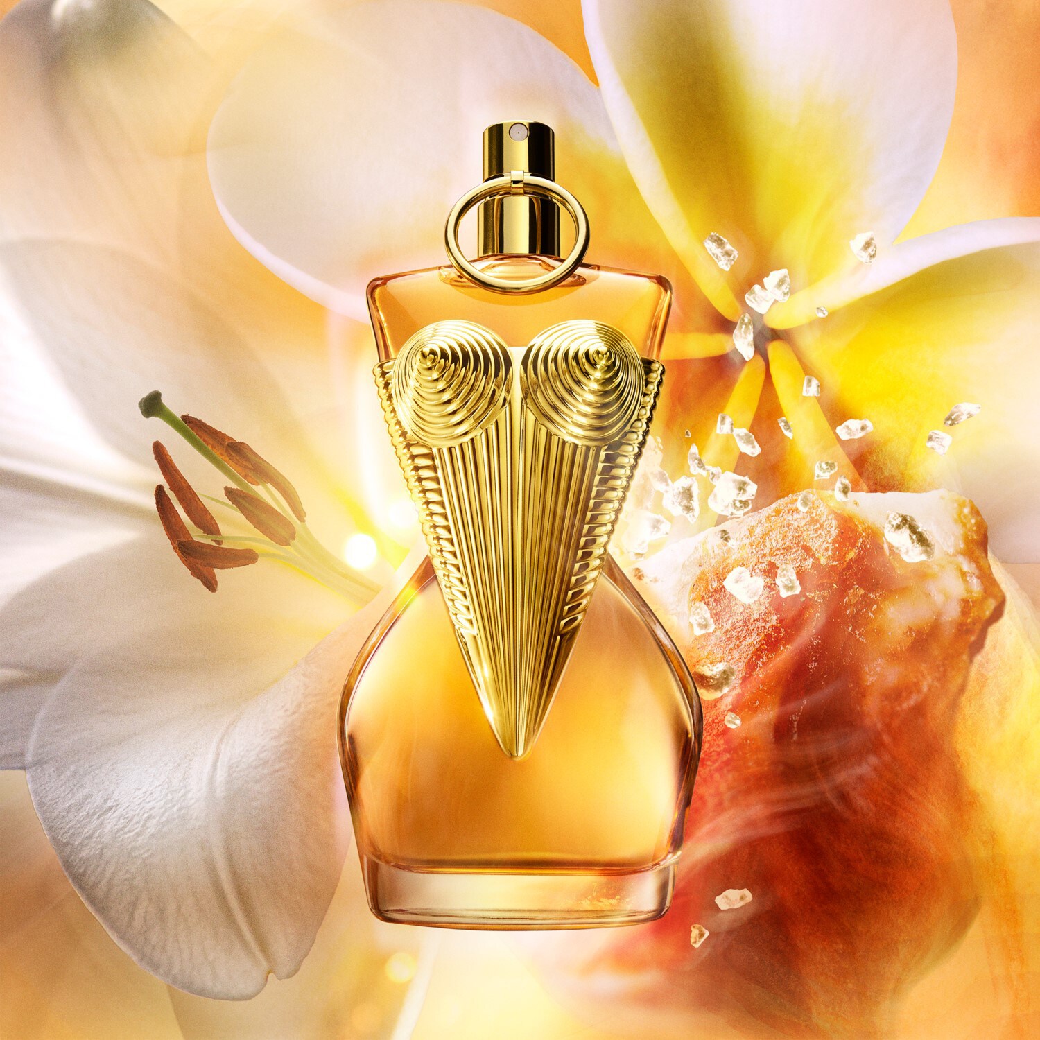 Gaultier Divine le Parfum - Parfum floral ambré de JEAN PAUL GAULTIER ≡ ...
