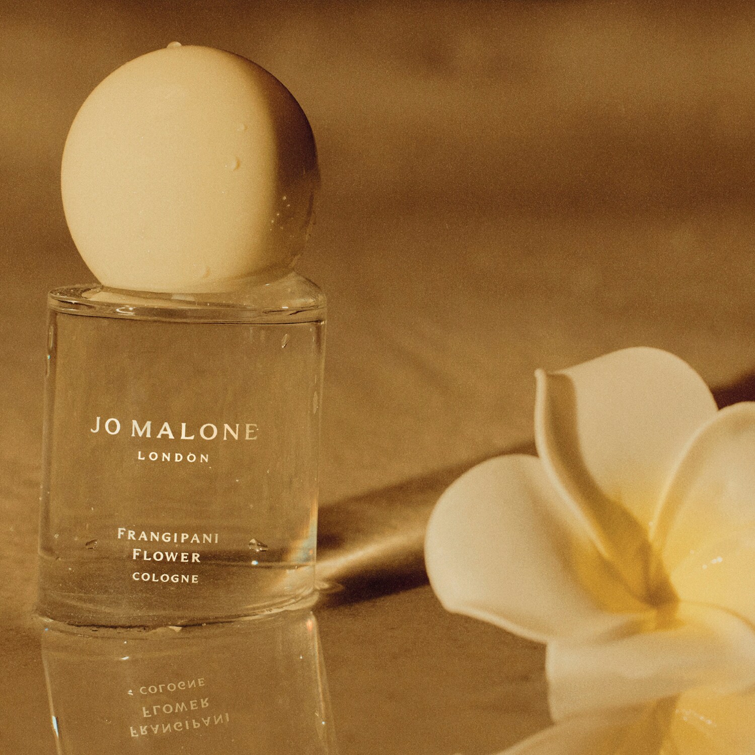 Frangipani Flower - Cologne di JO MALONE LONDON ≡ SEPHORA
