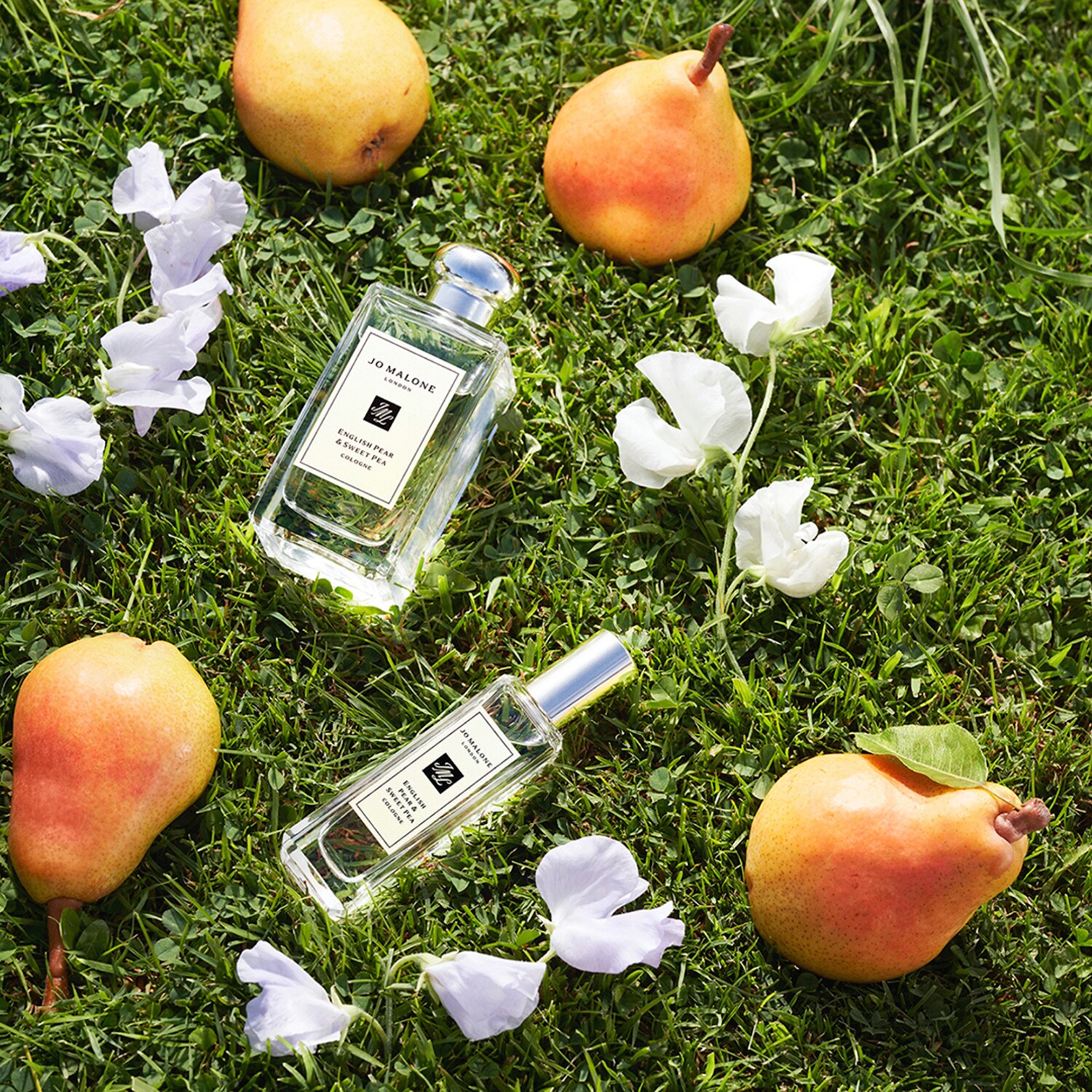 English Pear & Sweet Pea JO MALONE LONDON ≡ SEPHORA
