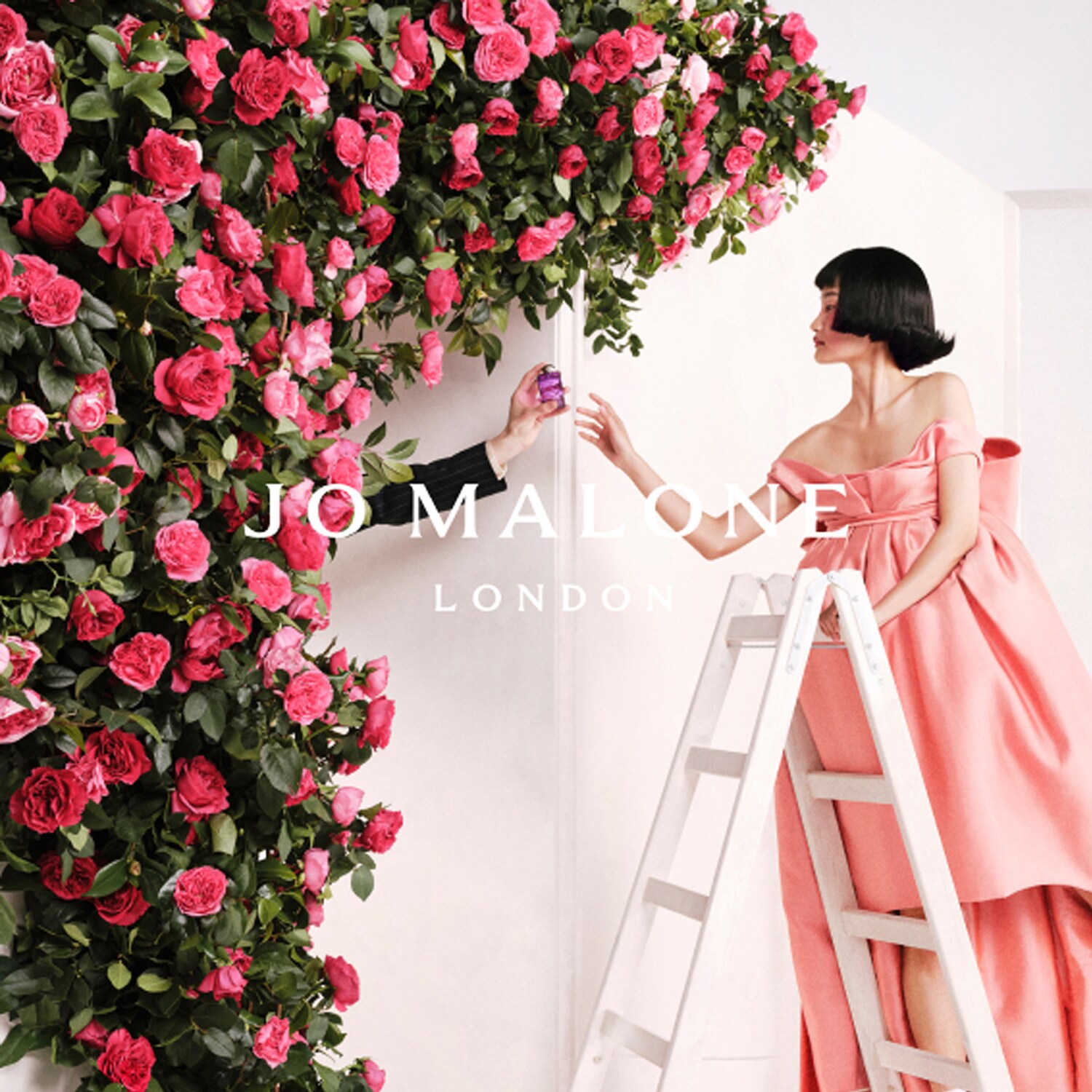 Rose Taif - Cologne Intense JO MALONE LONDON ≡ SEPHORA