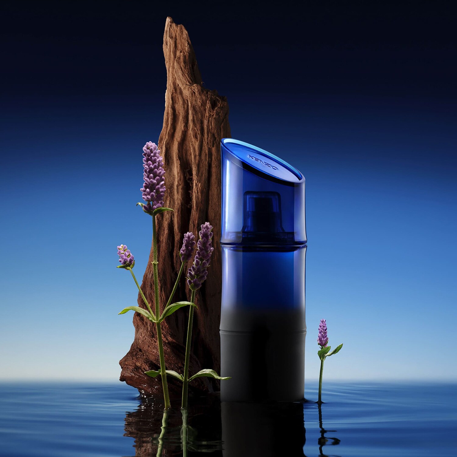 null Kenzo ≡ SEPHORA