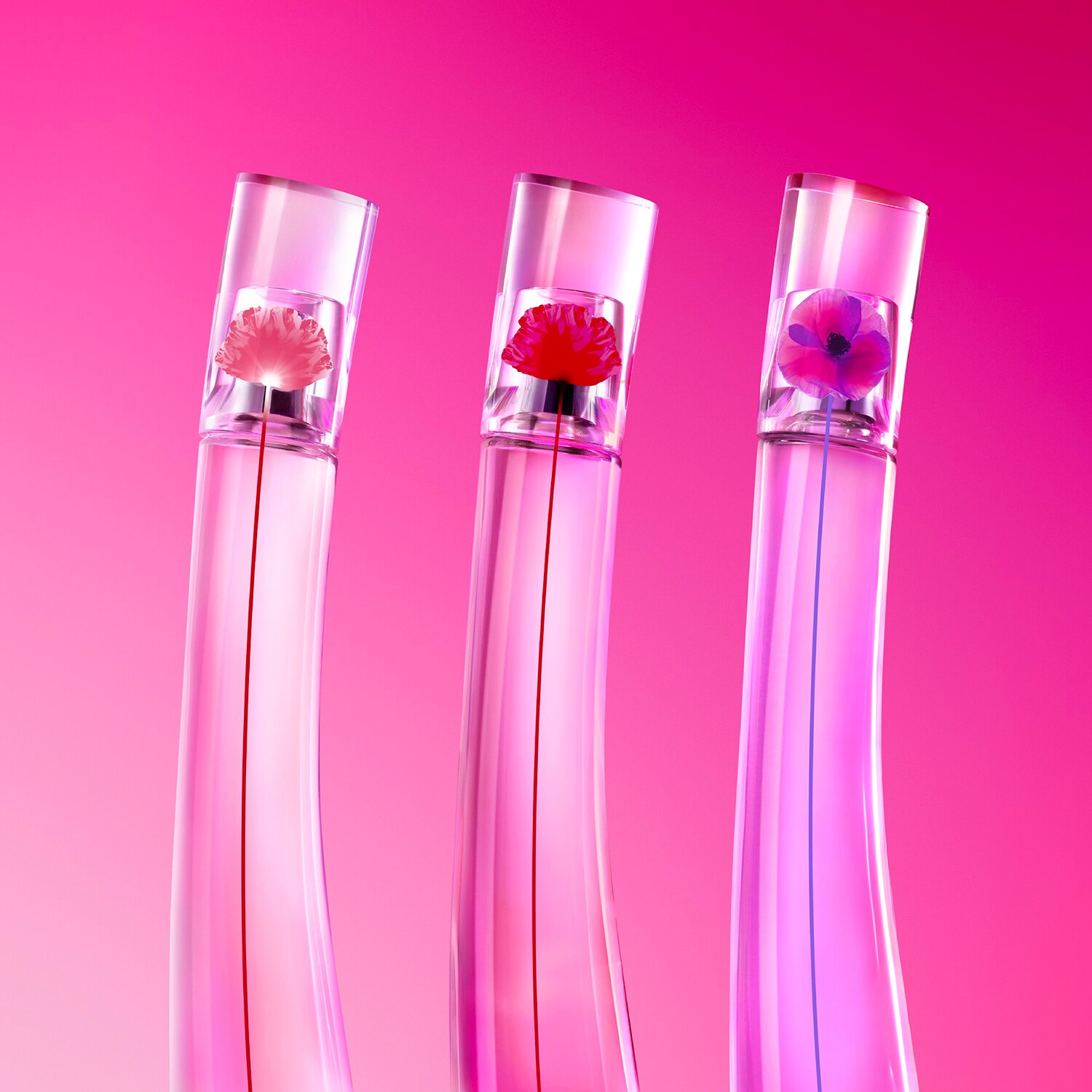 Flower By Kenzo Cherry Poppy - Eau de Parfum Notes Florales Fruitées de ...