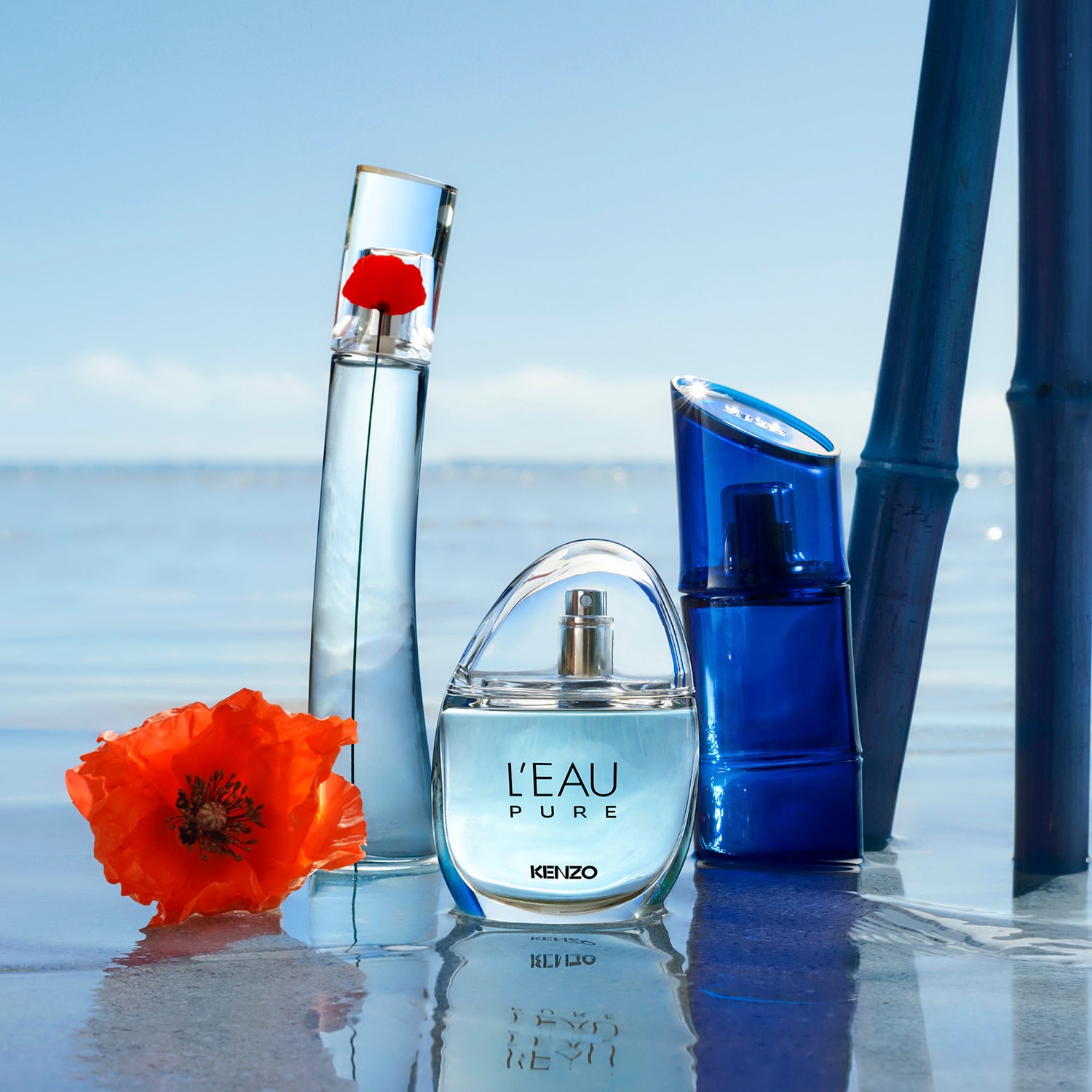 L'Eau Pure - Eau de Parfum Notes Florales Boisées Aquatiques de KENZO ≡ ...