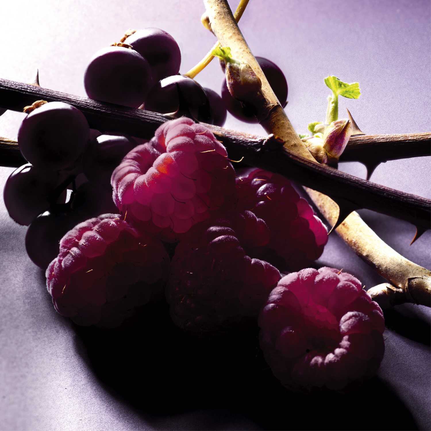 Trésor Midnight Rose - Eau de Parfum Femme Lancome ≡ SEPHORA