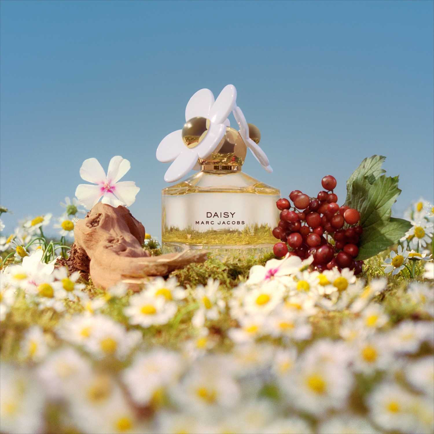Daisy - Eau de Toilette de MARC JACOBS ≡ SEPHORA
