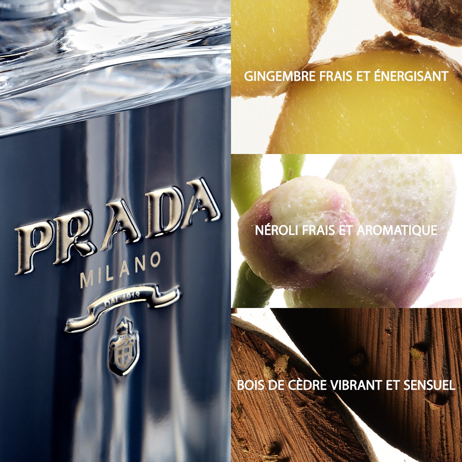 L'Homme Prada L'Eau - Eau de toilette de PRADA ≡ SEPHORA