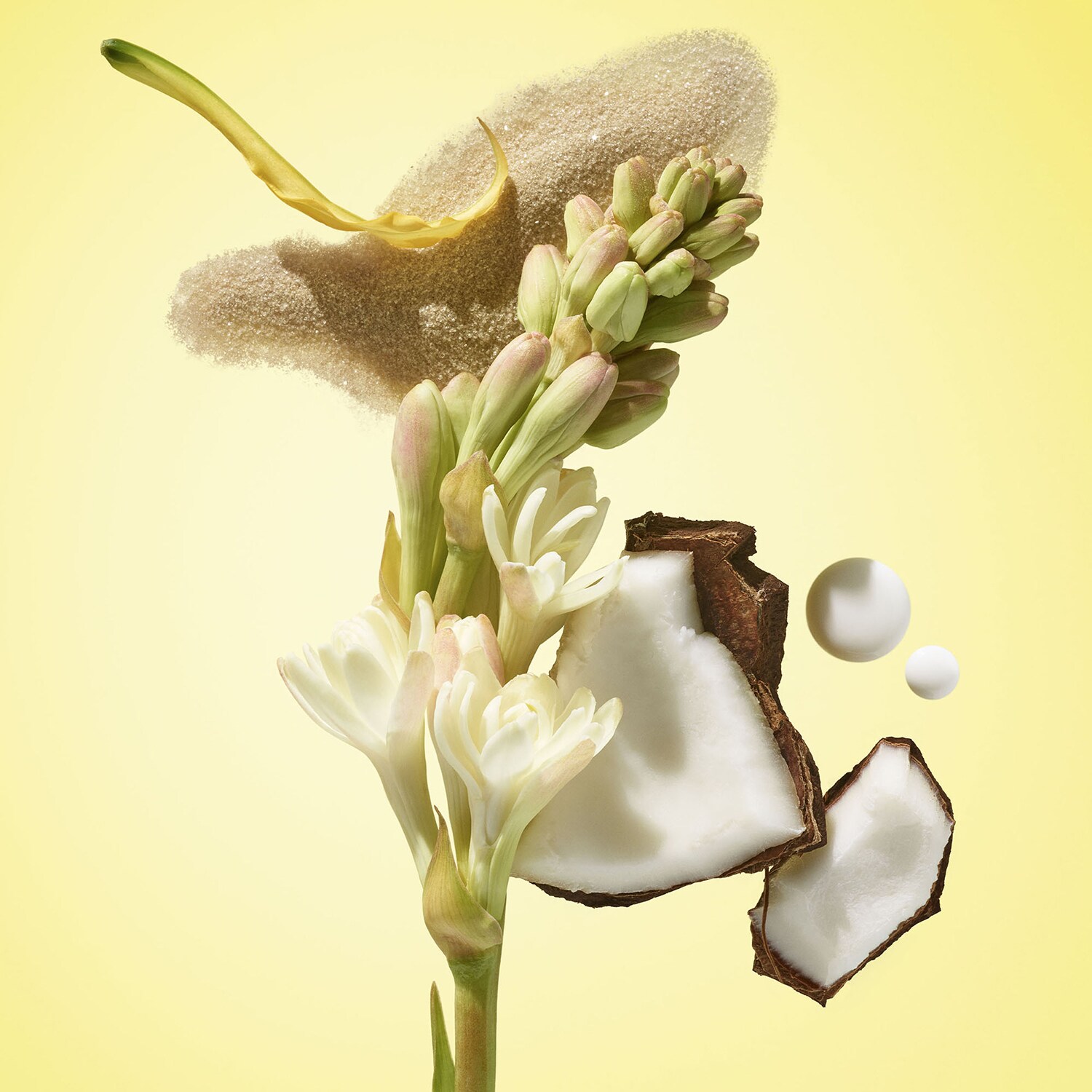 Rio Radiance Body Oil SPF50 - Vücut yağı SPF50 SOL DE JANEIRO ≡ SEPHORA