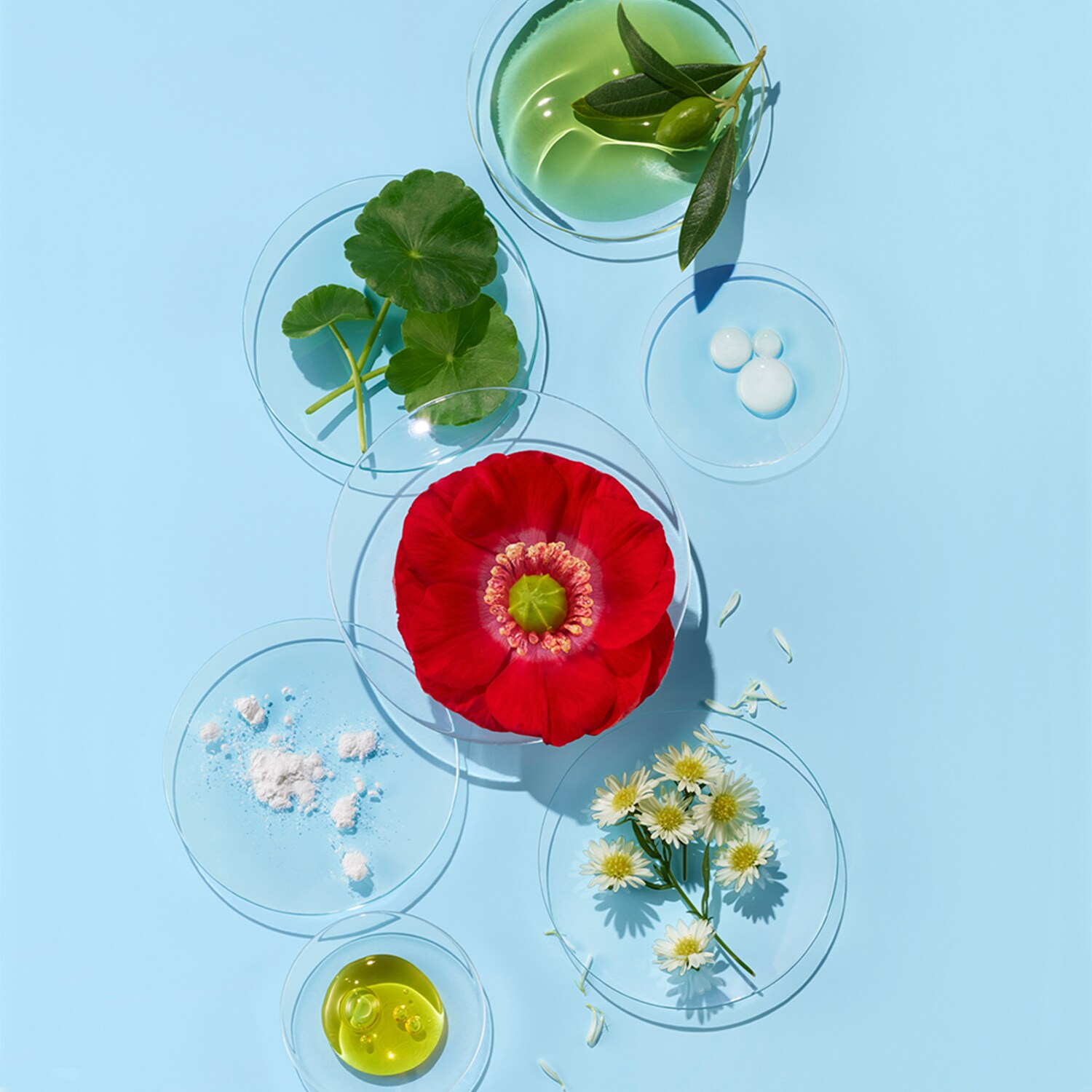 null Sunday Riley ≡ SEPHORA