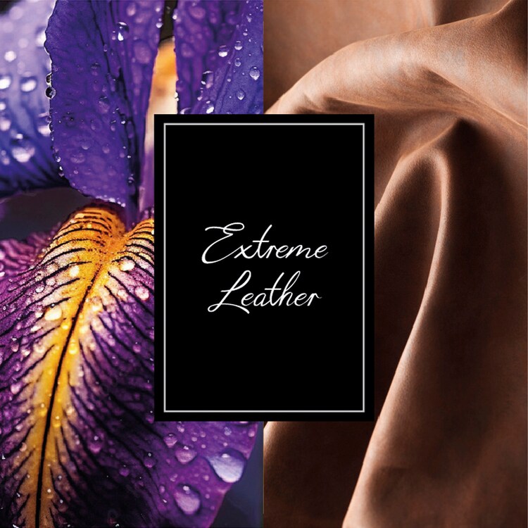 Collection Extreme Leather - Eau de Parfum | Montblanc ≡ SEPHORA